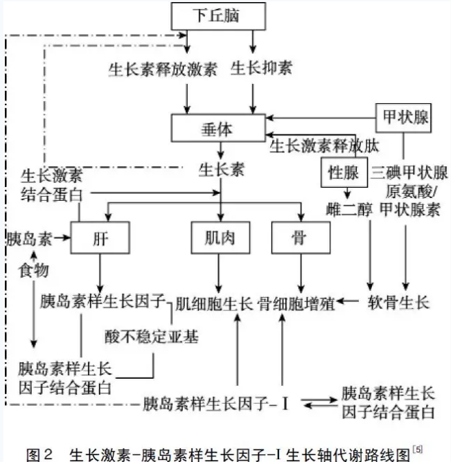 脂肪和蛋白质代谢对肉品风味的影响 - 云南省饲料工业协会公共服务平台
